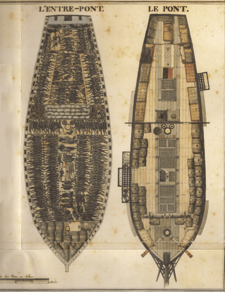 Traite Négrière | La Favorite